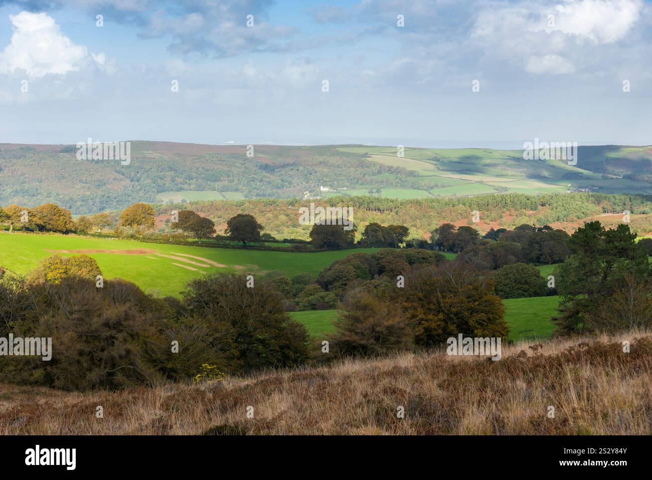 Porlock Vale from Dicky’s Path on the north slope of Dunkery Hill ...