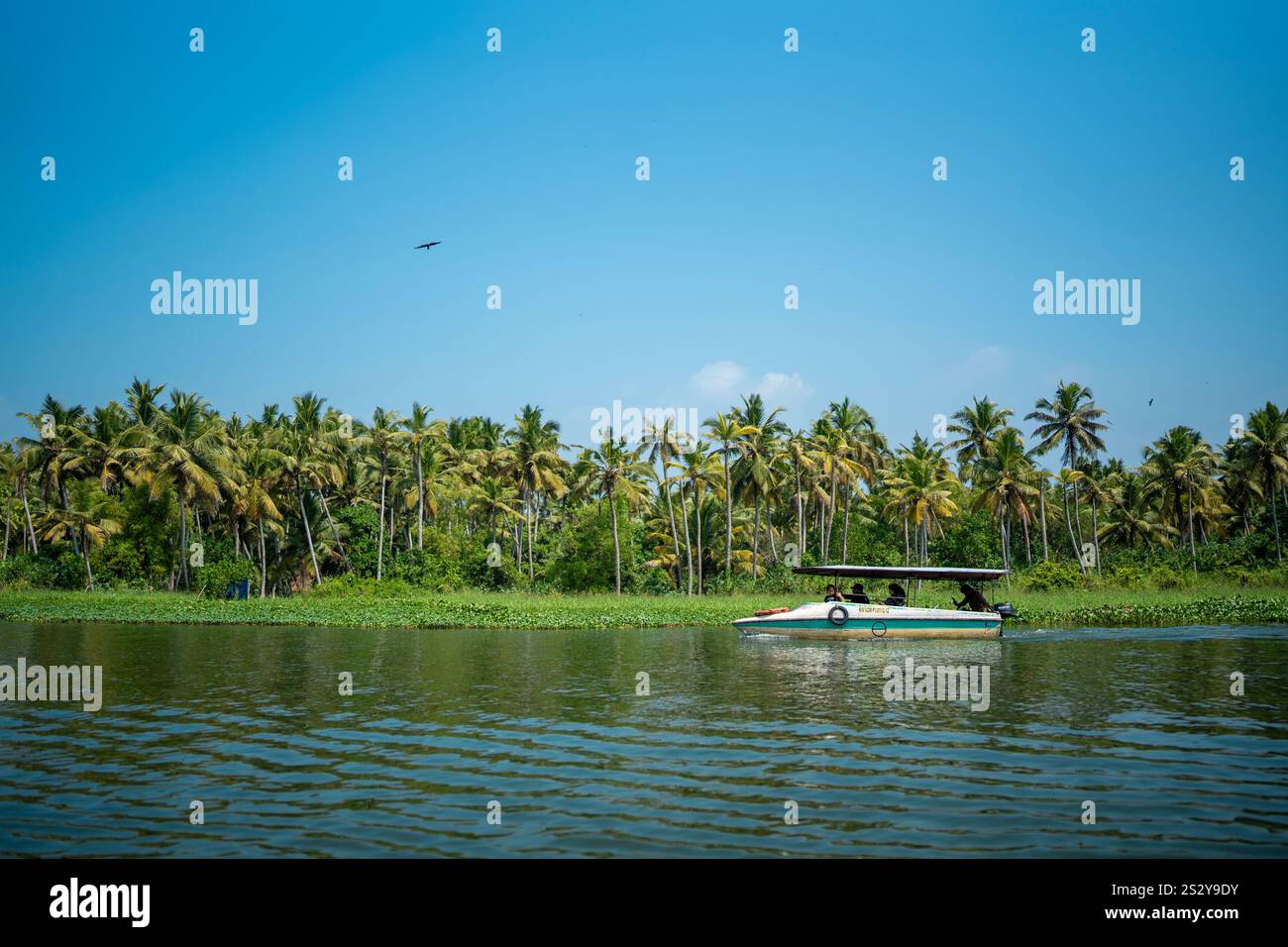 Beauty of keral hi-res stock photography and images - Alamy