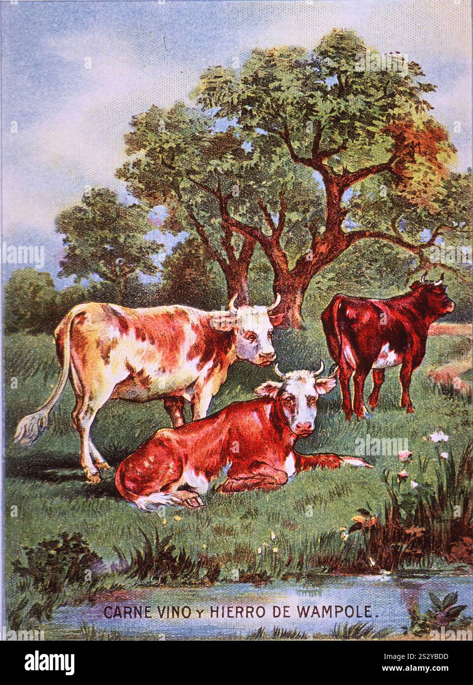 Carne Vino y Hierro De Wampole Wampole Meat Wine and Iron - Vintage Victorian Era advertising ...