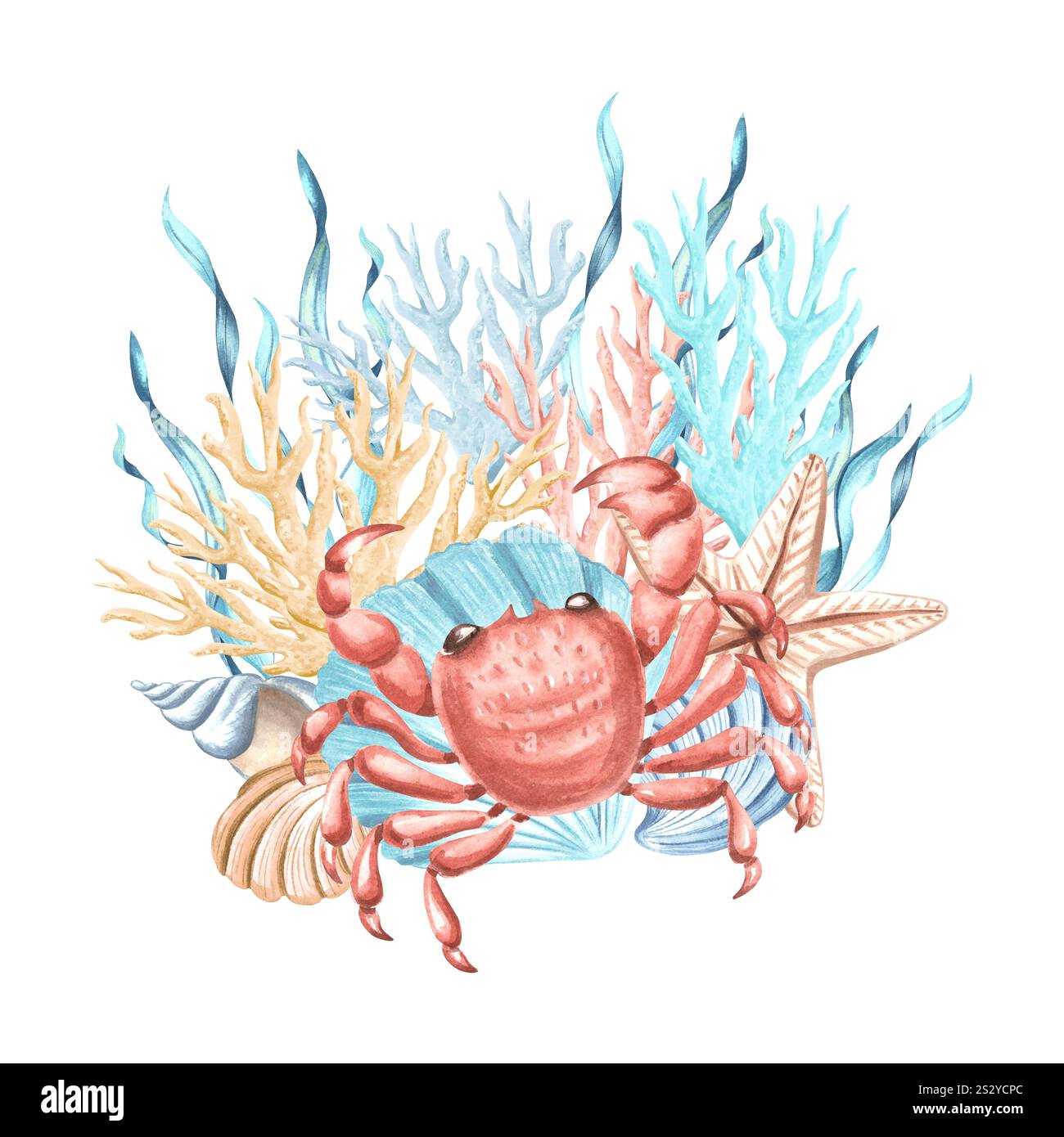 Crab with seashells, corals and seewed. Underwater wildlife composition ...