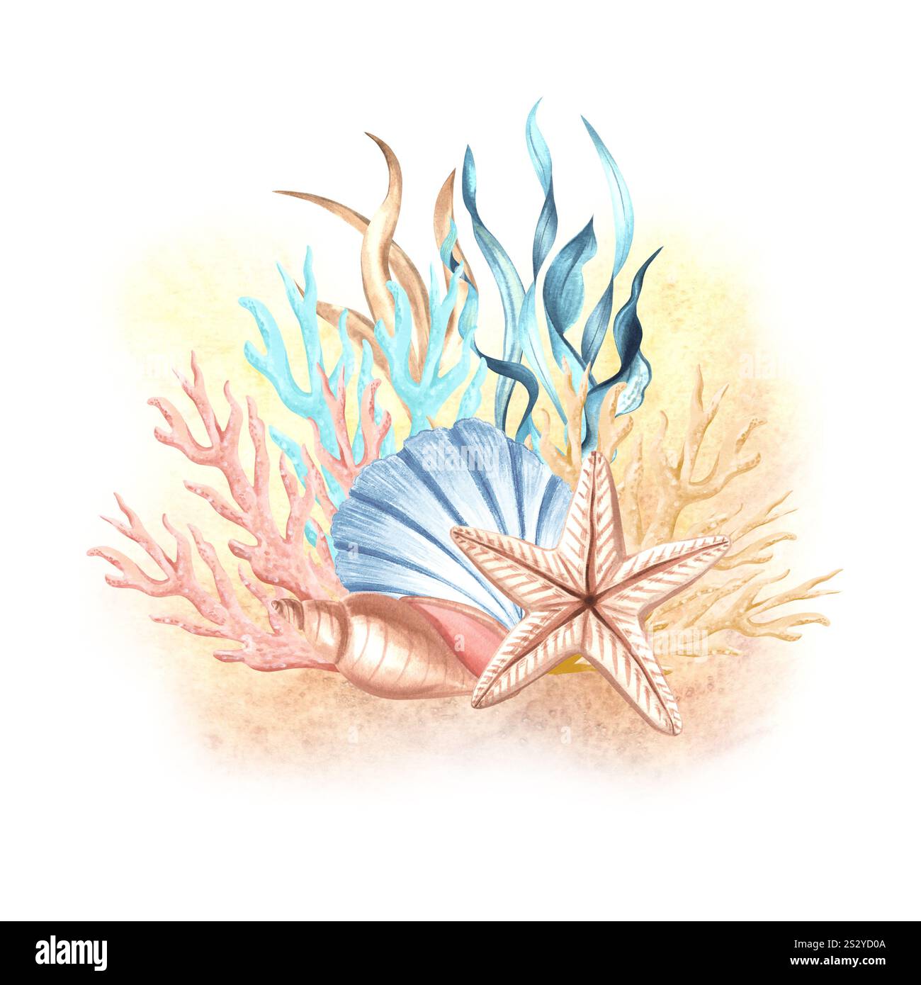 Starfish with seashells, corals and seaweed. Underwater wildlife ...