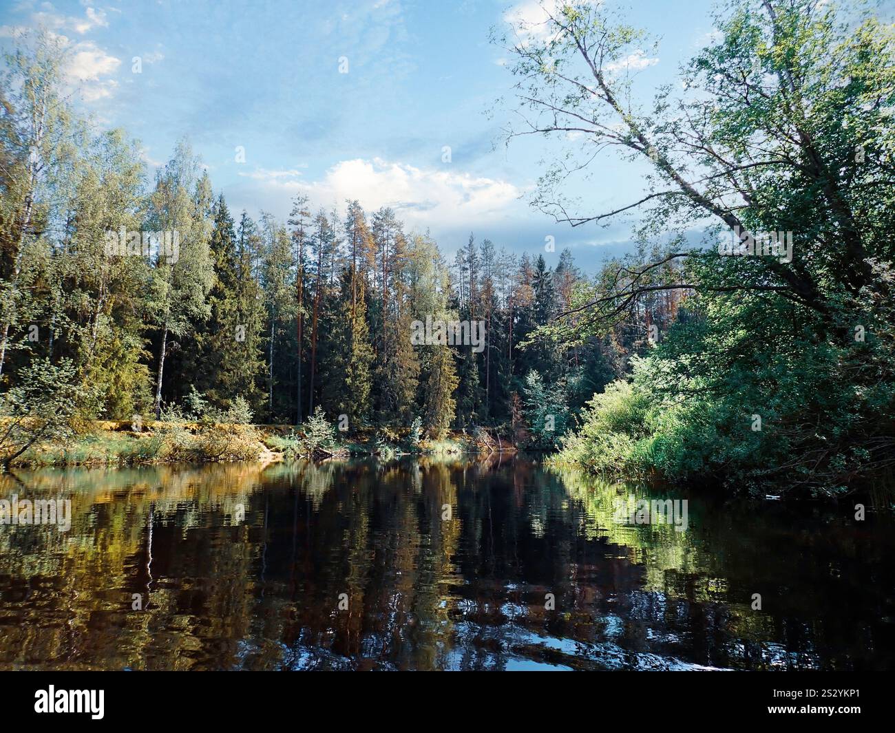 Exploring the Remote Beauty of the Upper Volga River in Russia Stock ...