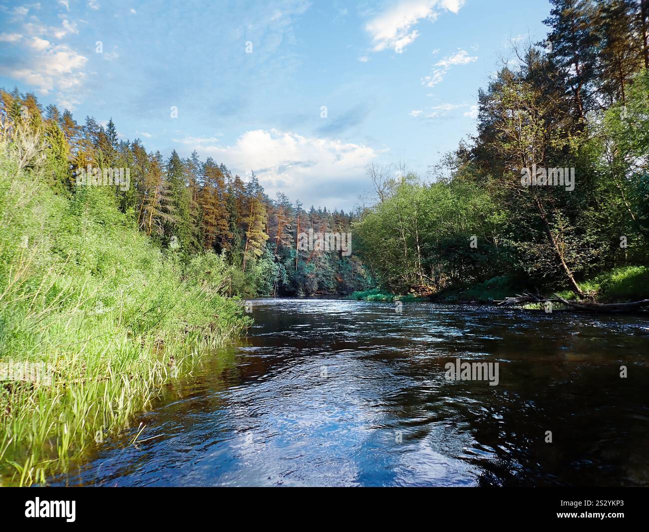 Exploring the Remote Beauty of the Upper Volga River in Russia Stock ...