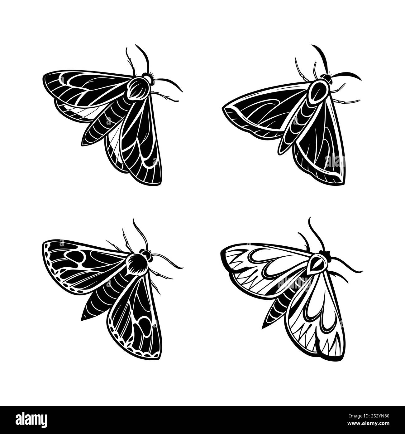 moth silhouettes black color simple clean vector illustration eps high ...