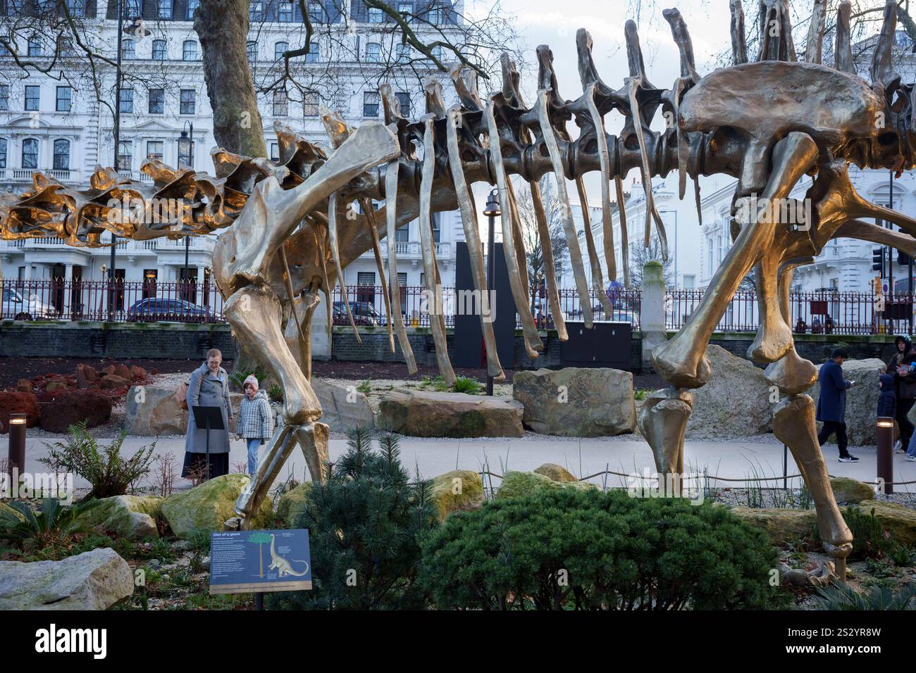 A skeleton model of a Diplodocus dinosaur is seen outside the Natural ...