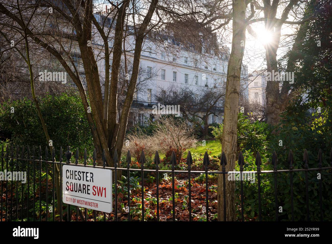 A landscape that shows Chester Square in Belgravia SW1, on 7th January ...