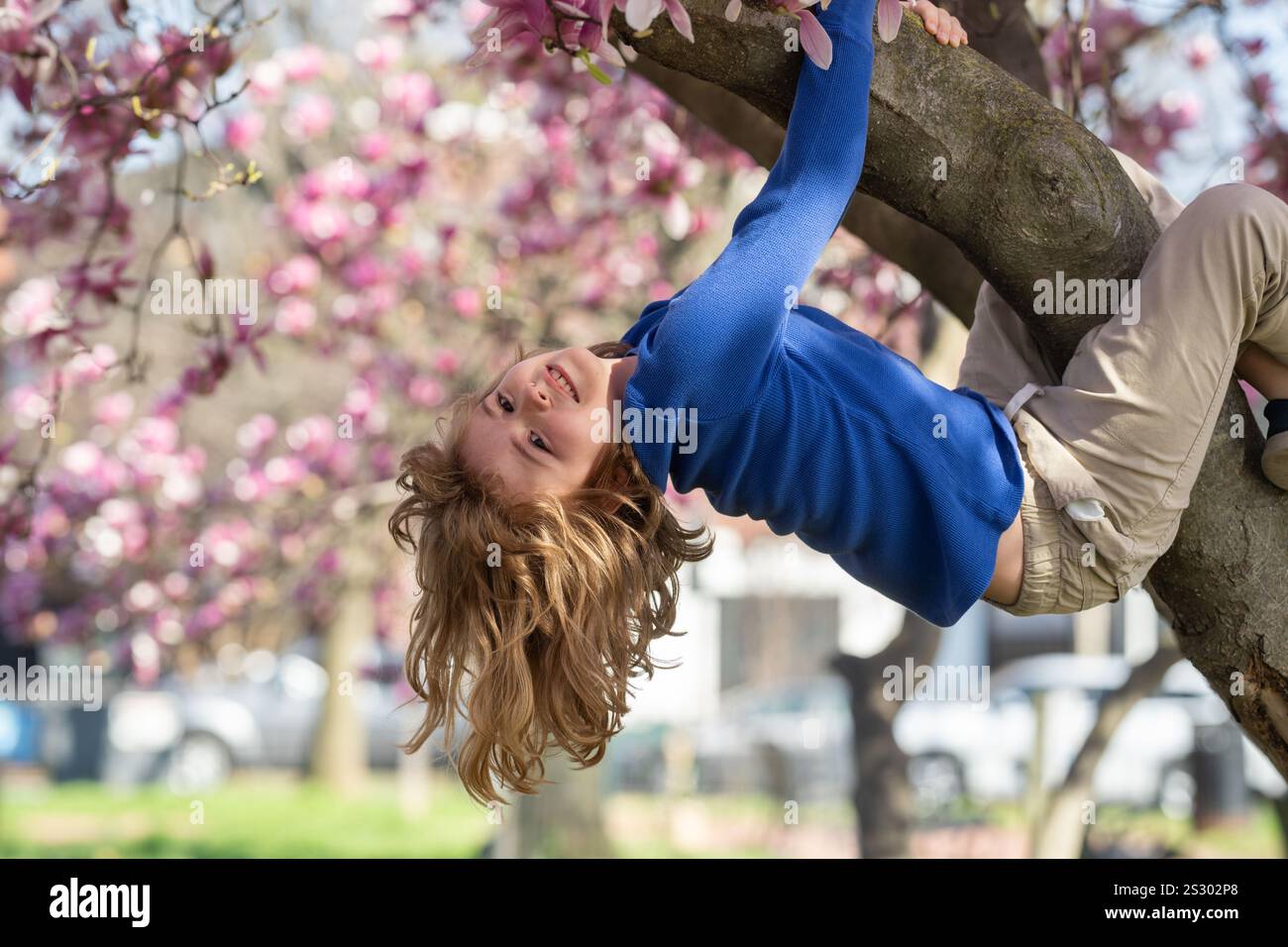 Kid climbing magnolia tree upside down. Kid face in flowers. Adorable ...