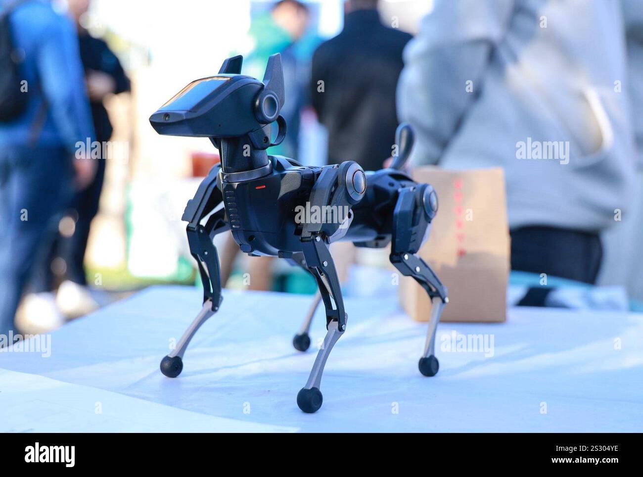 LAS VEGAS, Jan. 8, 2025 (Xinhua) -- Sirius, an intelligent robotic dog ...