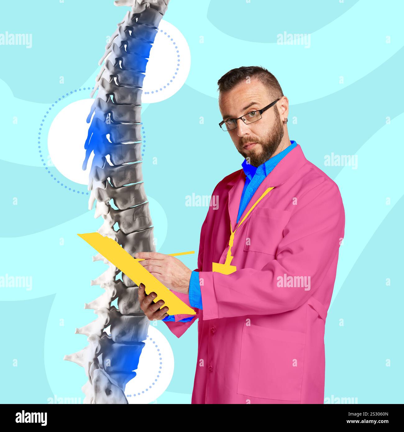 Illustrating human spine anatomy model hi-res stock photography and ...