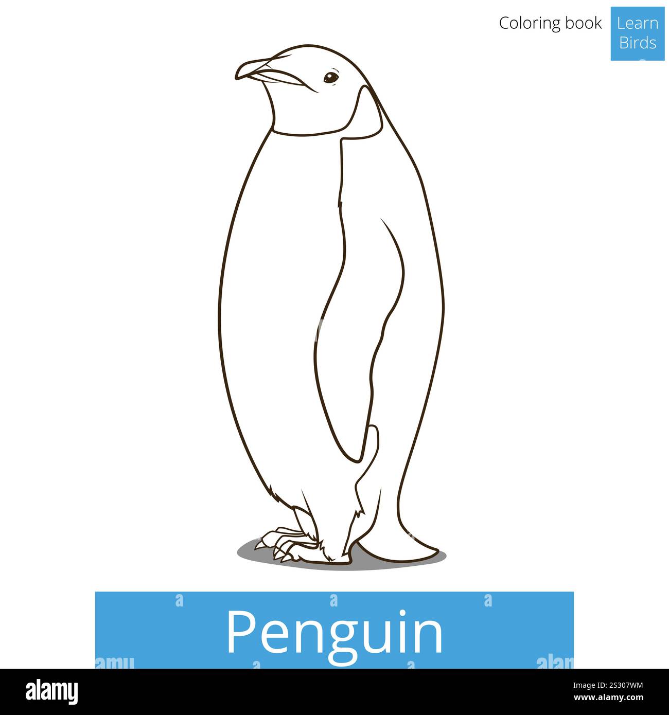 Penguin bird learn birds coloring book vector Stock Vector Image & Art ...