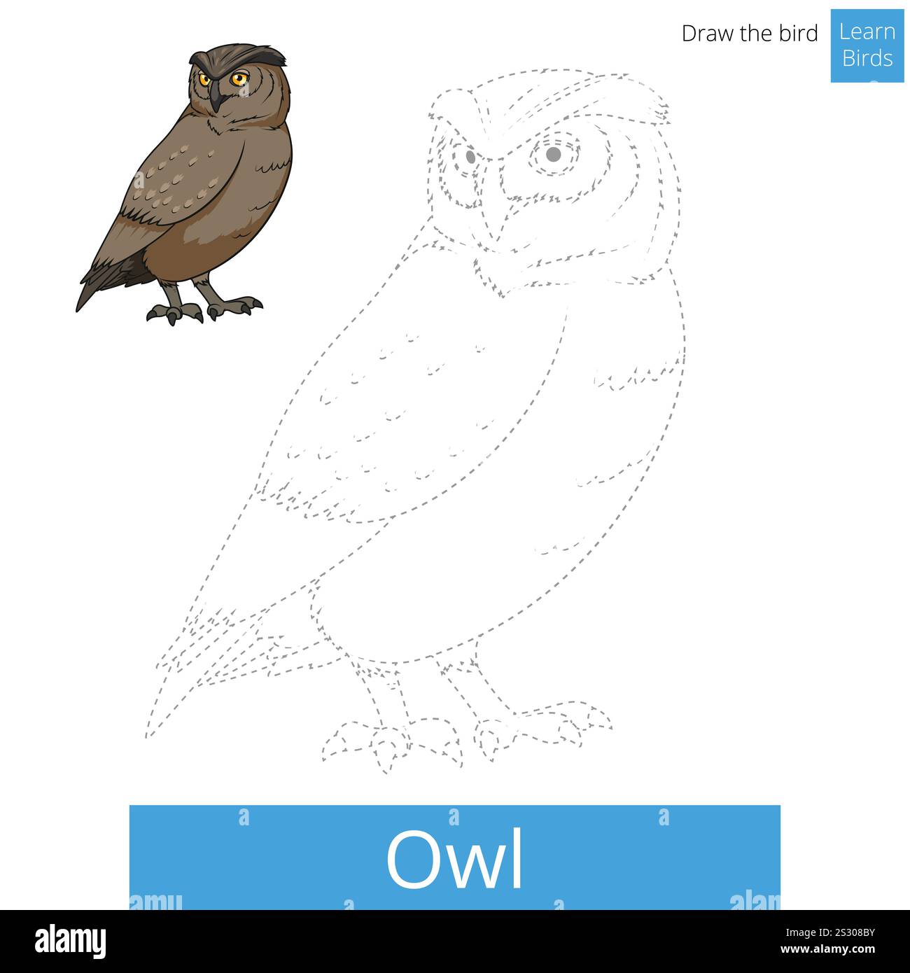 Draw owl hi-res stock photography and images - Alamy