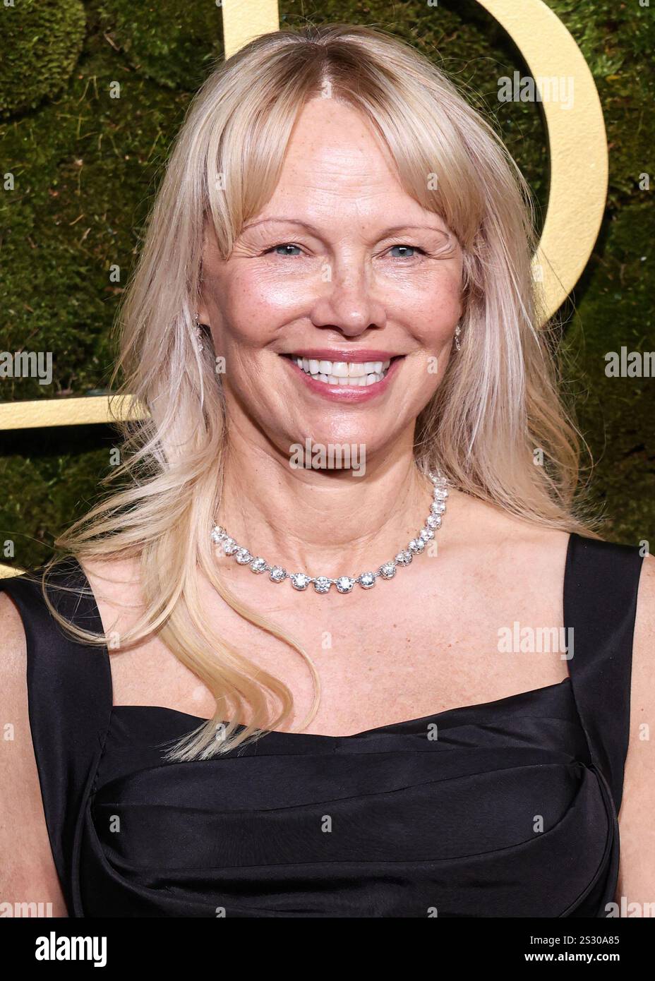 BEVERLY HILLS, LOS ANGELES, CALIFORNIA, USA - JANUARY 05: Pamela ...