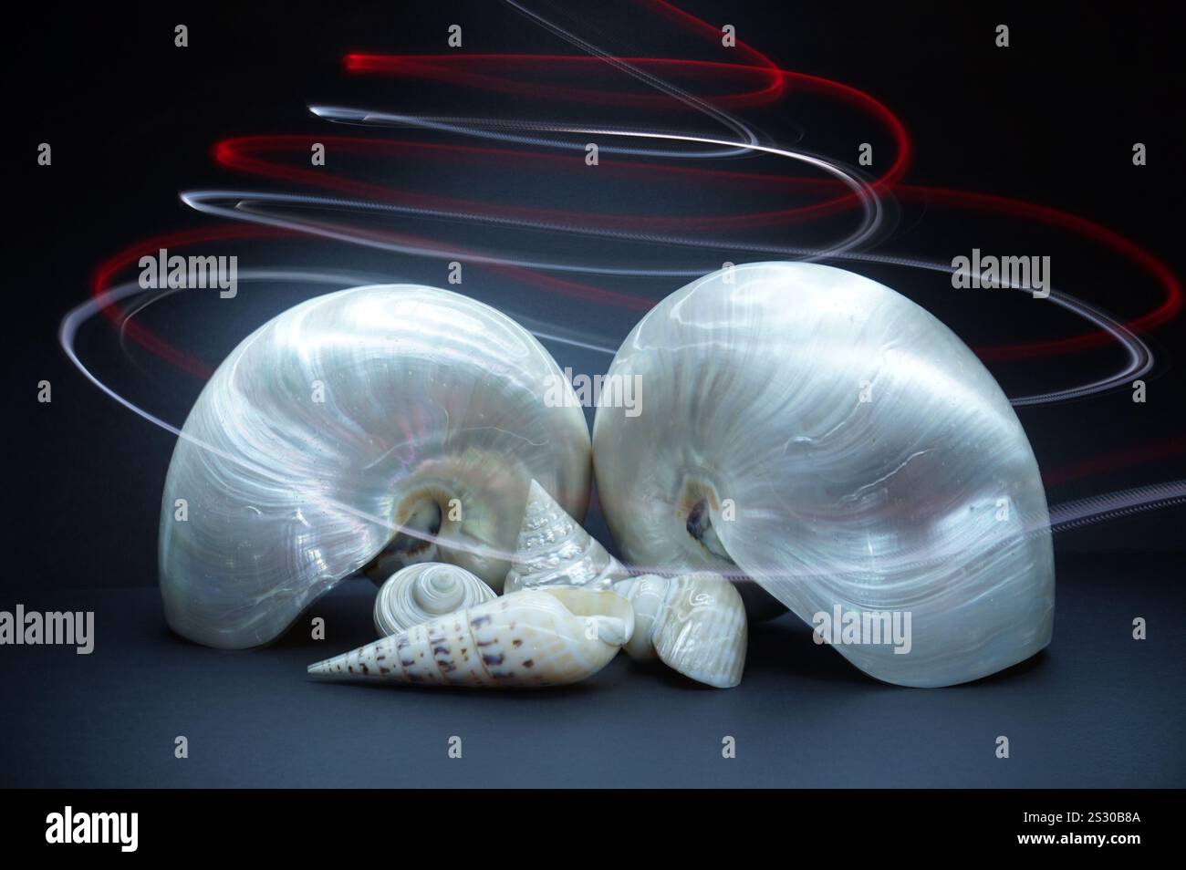 Light painting around sea shells Stock Photo - Alamy