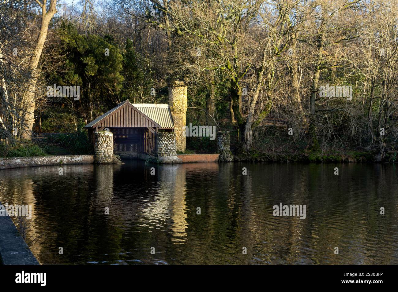 Douster pond at Buchan Country Park in West Sussex Stock Photo - Alamy