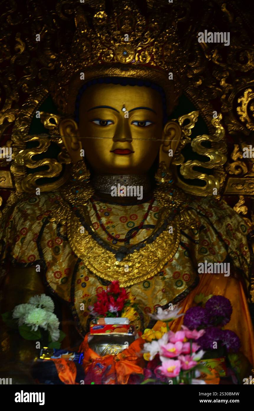 Maitreya future Buddha statue tibet style Boudha Stupa and eyes of lord ...