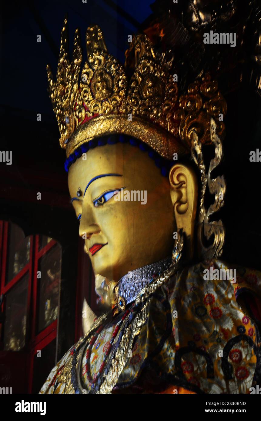 Maitreya future Buddha statue tibet style Boudha Stupa and eyes of lord ...