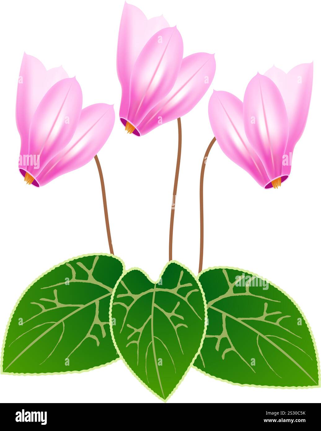 White flowers bright green Stock Vector Images - Alamy