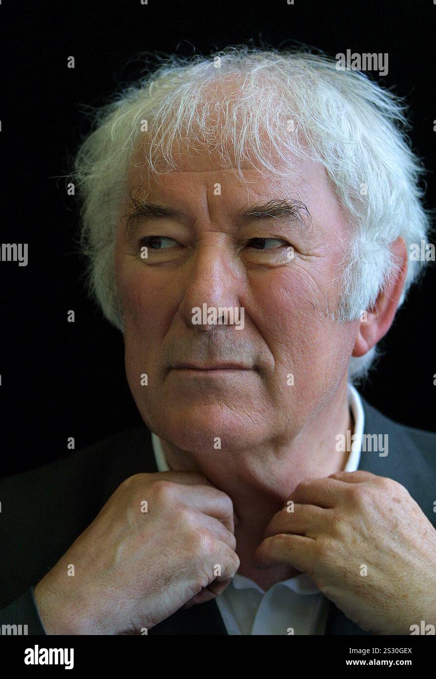 Nobel Prize-winning Irish poet Seamus Heaney, pictured during his first ...