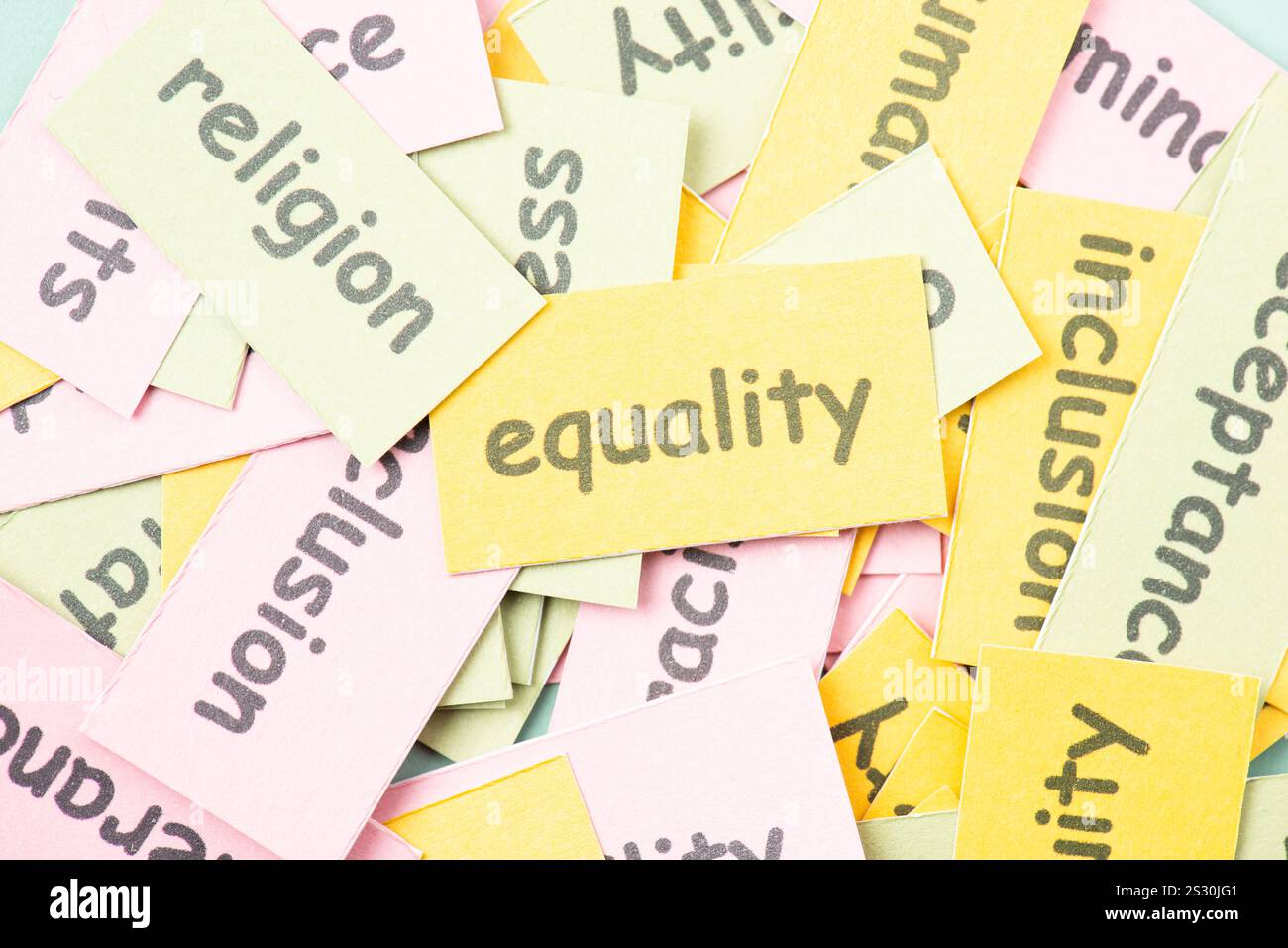 Equality, inclusion, diversity, gender and ethnic race, human rights ...