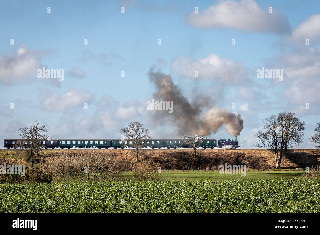 LMR 'USA' tank 0-6-0T No. 300 'Frank S Ross approaches Medstead station ...
