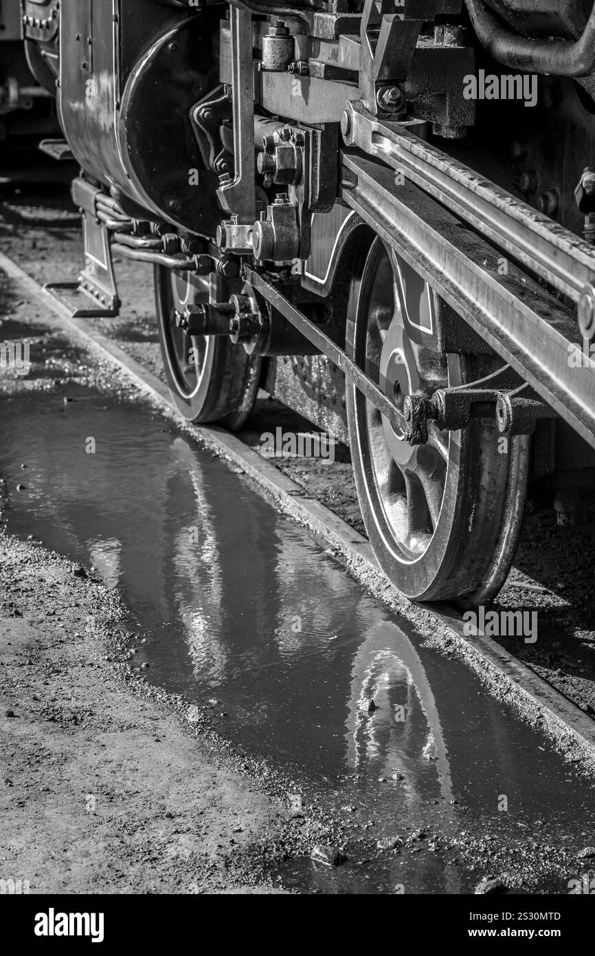 Leading wheels of SR 'Schools' 4-4-0 No. 925 'Cheltenham' , Ropley, Mid ...