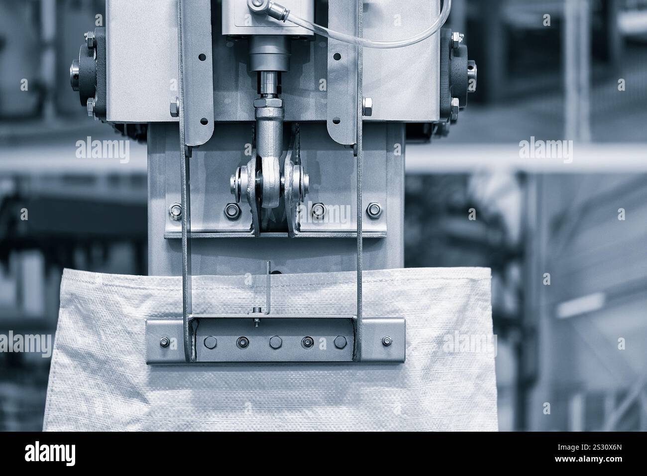 Conveyor Filling and Packaging Machine for Food. product packaging ...