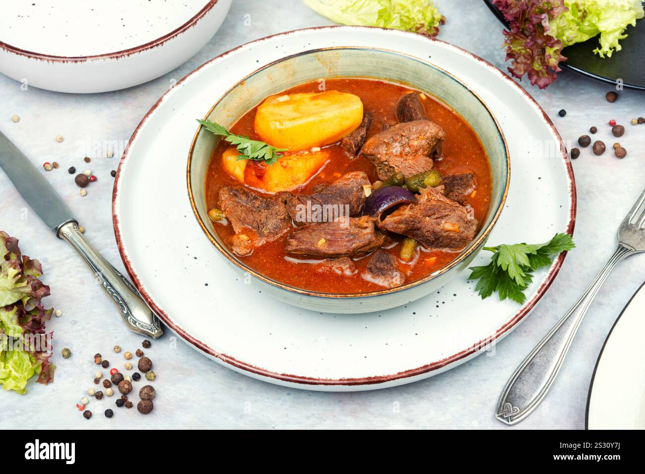 Stewed deer goulash in sauce, venison goulash. Deer ragout Stock Photo ...