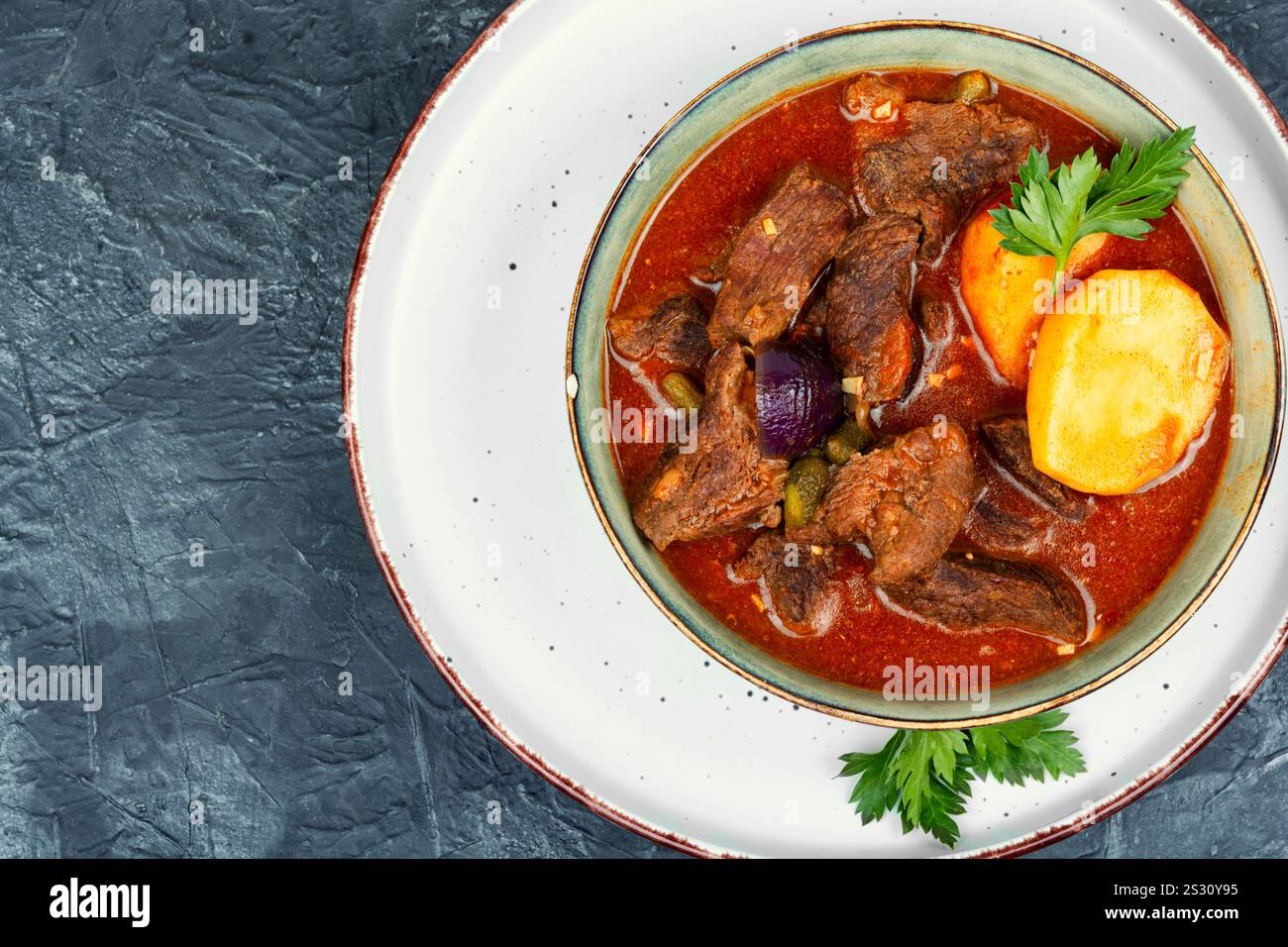 Traditional Hungarian braised venison goulash with vegetable in a bowl ...