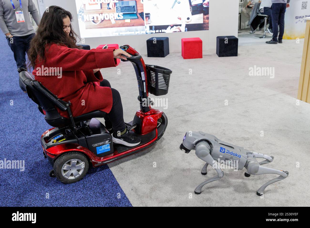 Las Vegas, USA. 07th Jan, 2025. A Jidoka robot dog interacts with an ...