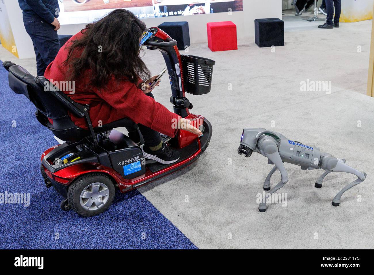 Las Vegas, USA. 07th Jan, 2025. A Jidoka robot dog interacts with an ...