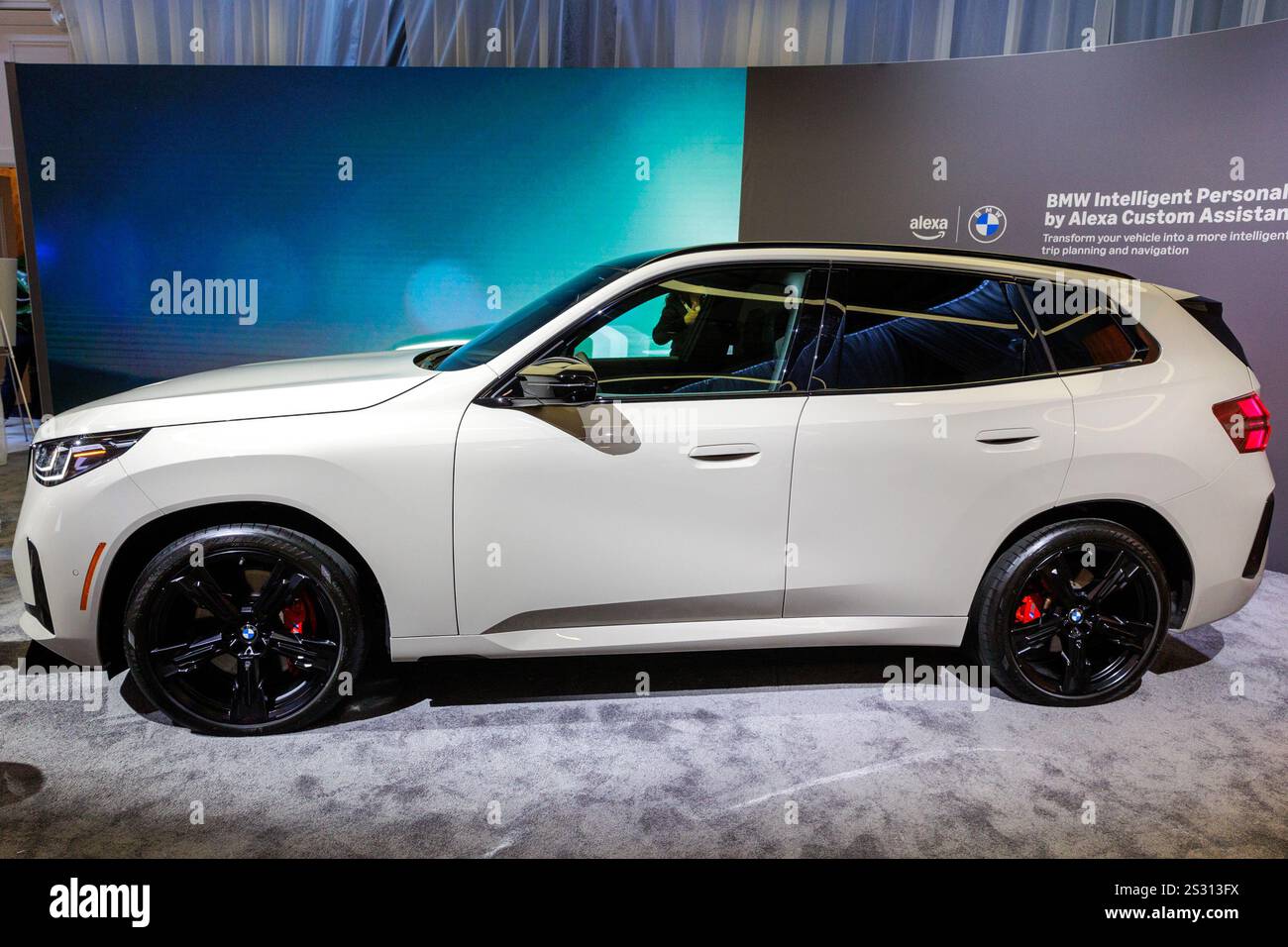 BMW Intelligent PErsonal Assistant, powered by Alexa Custom Assistant ...