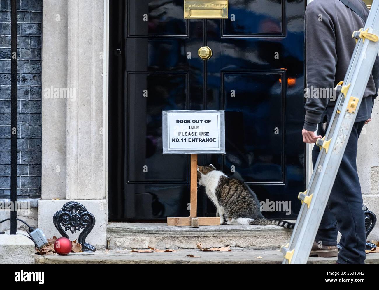 Larry the Cat - Chief Mouser to the Cabinet Office since 2011 - in ...