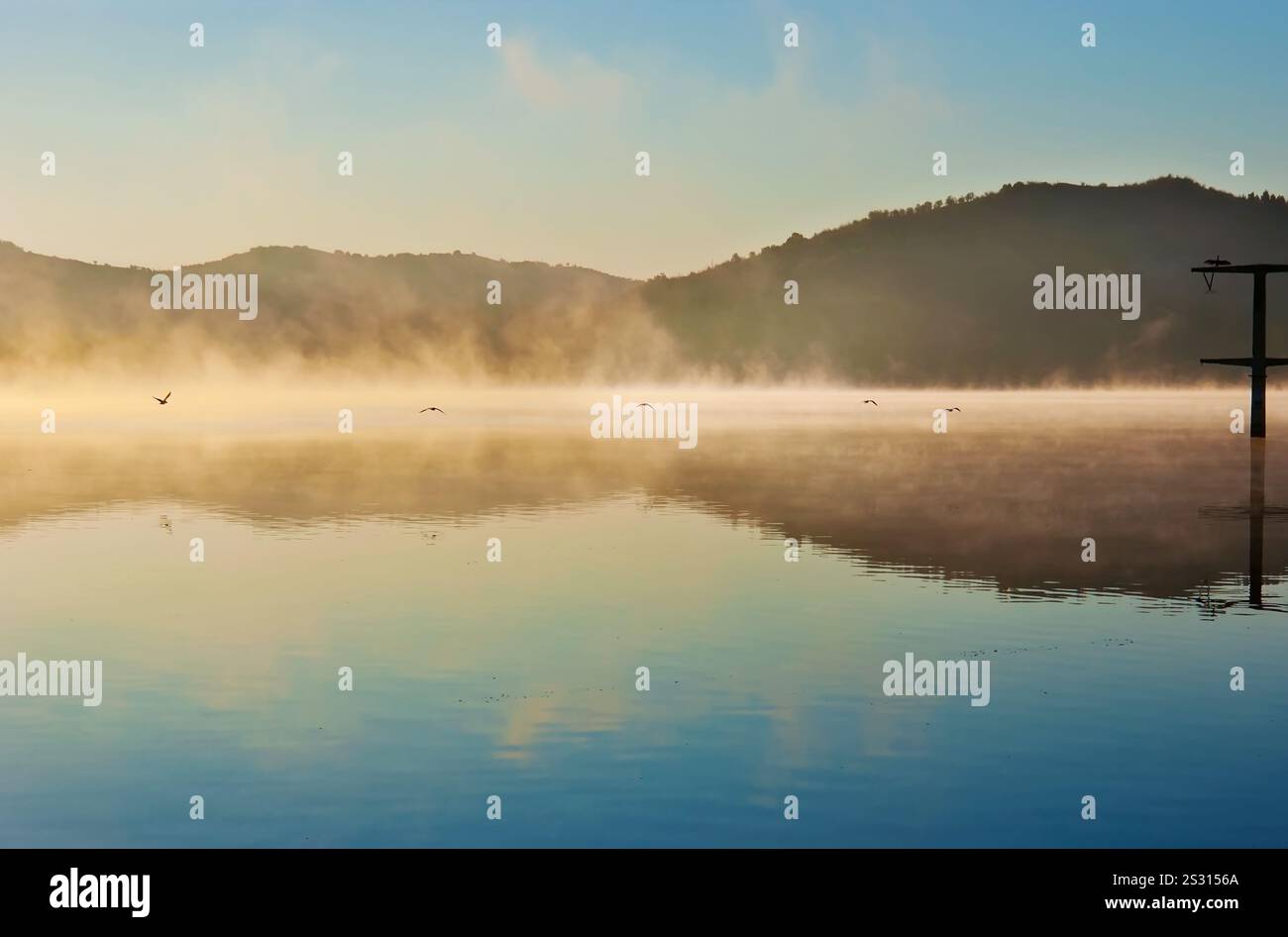 The silhouettes of birds flying low through the steam rising from Lake ...