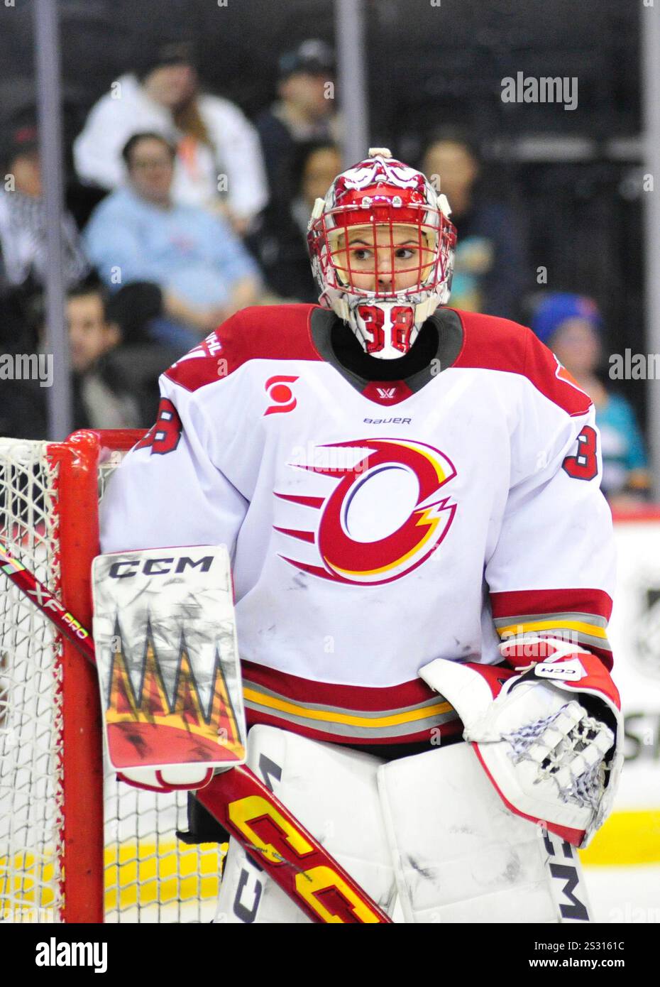 Newark, USA. 07th Jan, 2025. Emerance Maschmeyer (38) during the New ...