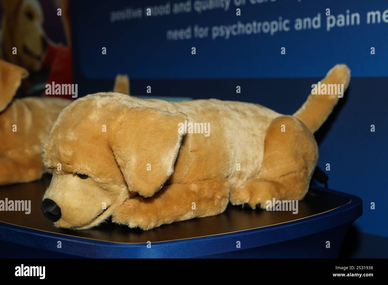 January 7, 2025: Tombot Jennie - A Robotic Emotional Support Animal on ...