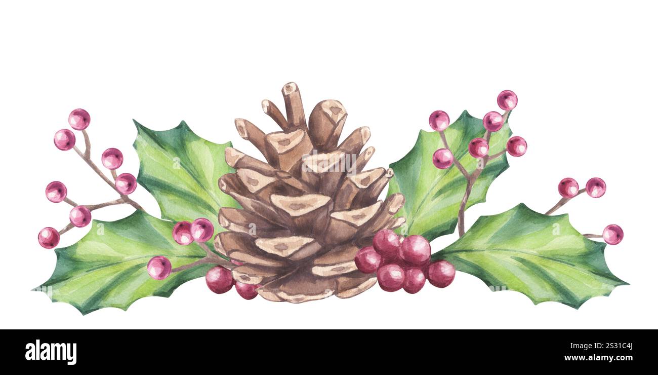 Christmas branch forest fir pine with cone, holly red berries, ilex ...