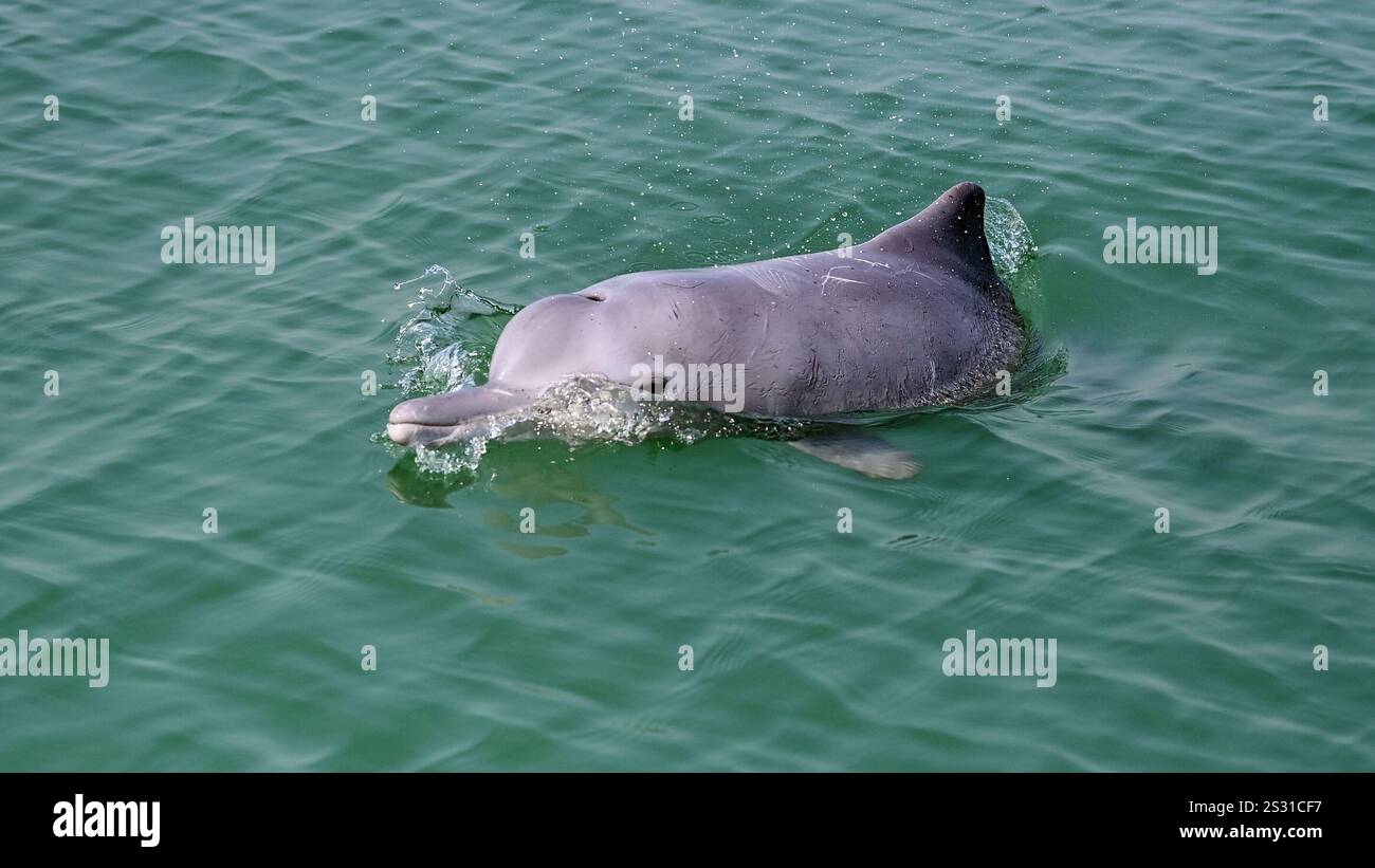 QINZHOU, Jan. 8, 2025 (Xinhua) -- This photo taken on Jan. 6, 2025 ...