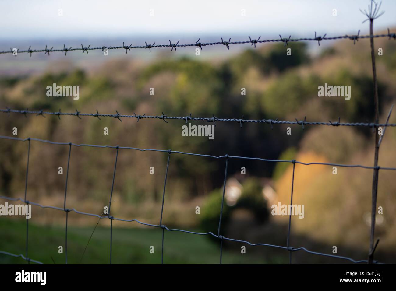Barbered wire, countryside Stock Photo - Alamy