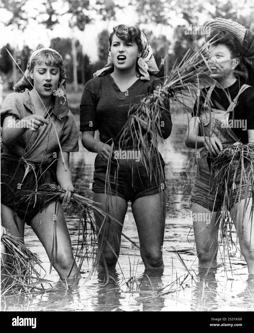 RISO AMARO aka BITTER RICE SILVANA MANGANO centre Date: 1949 Stock ...