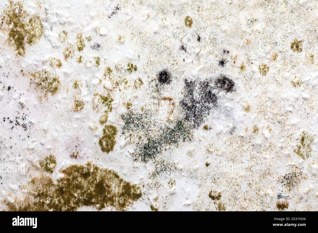 Black Mold Growth on Indoor Wall Due to Moisture Damage Stock Photo - Alamy