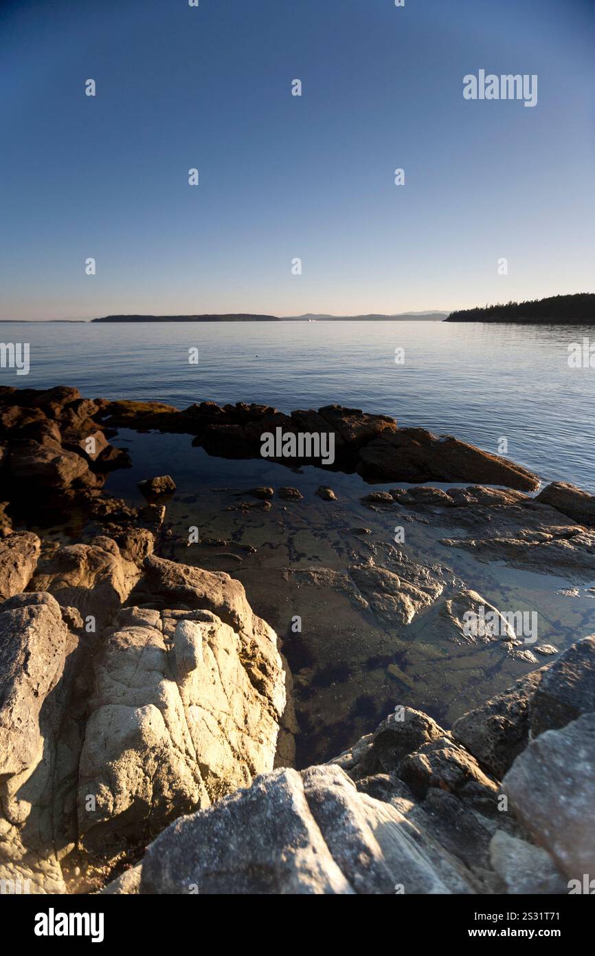 Tidal pools by the oceanside Stock Photo - Alamy