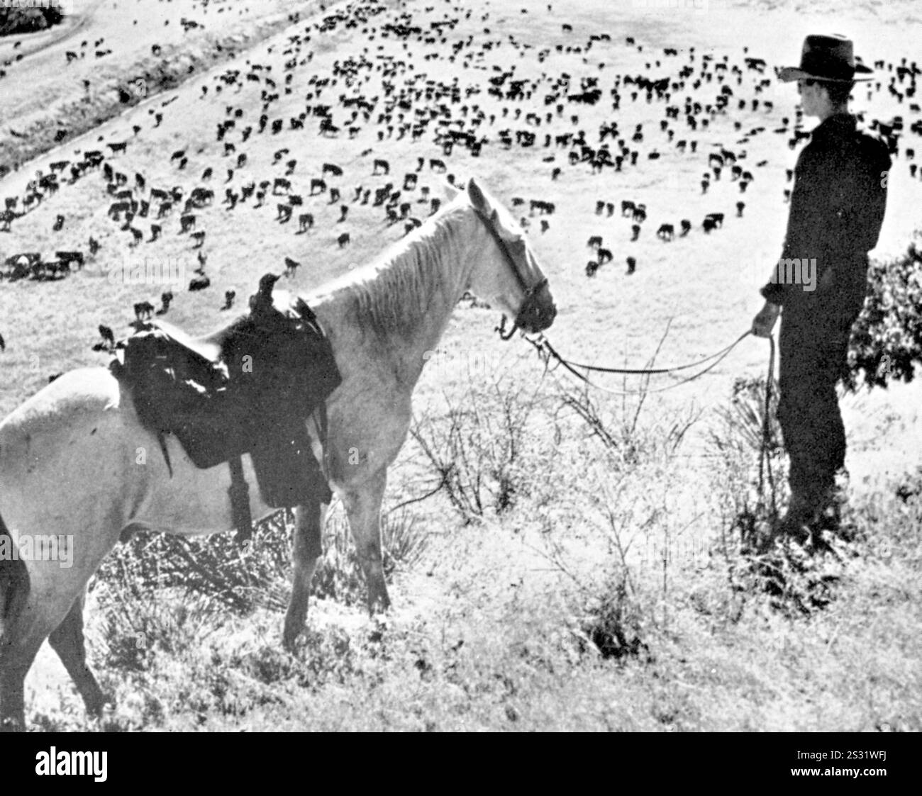 Ronald plains hi-res stock photography and images - Alamy