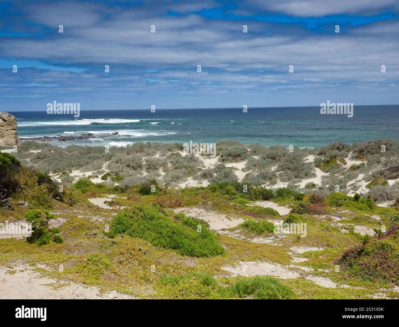 nesting territories near seashore at Seal Bay, animal colony on south ...