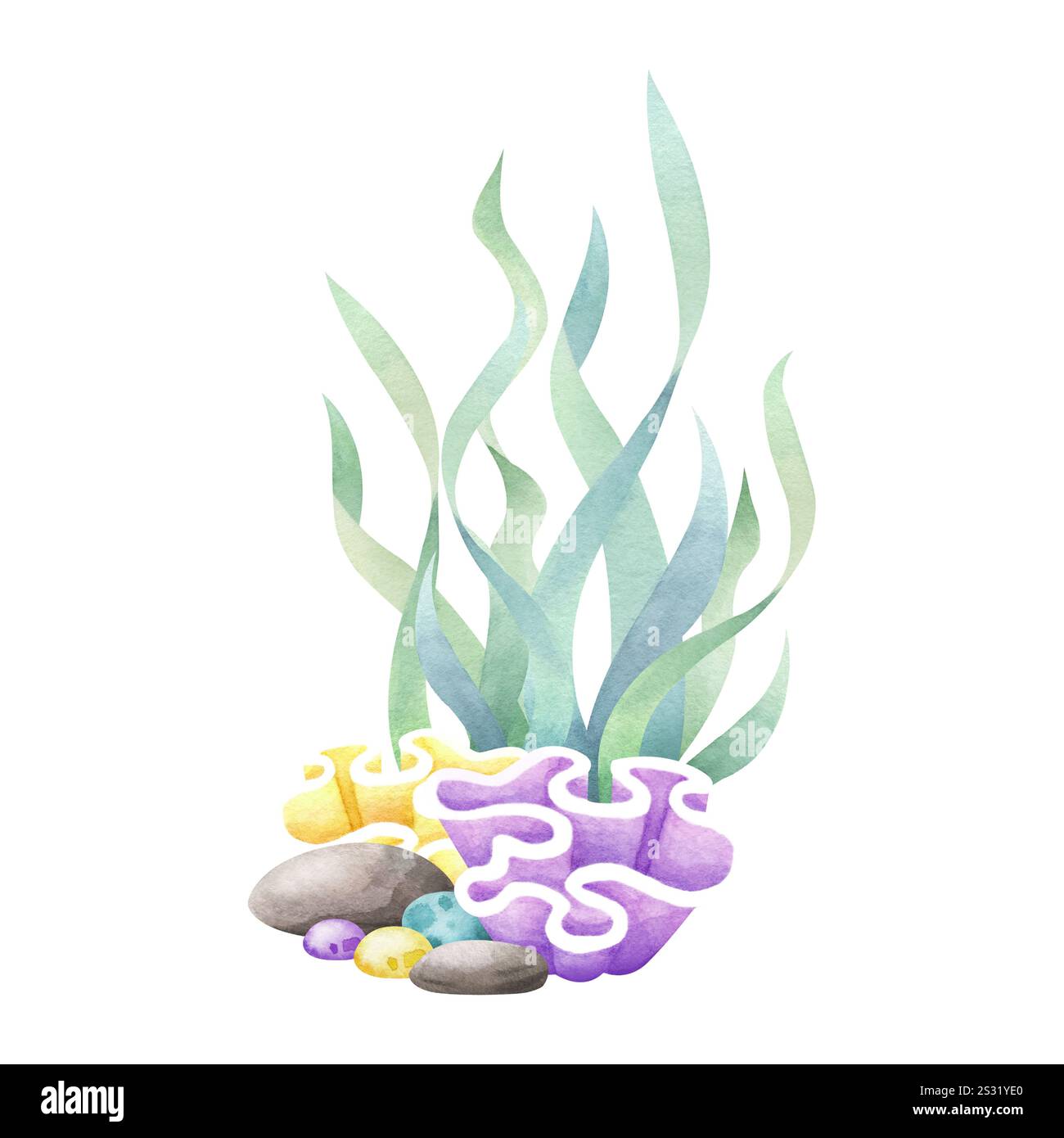 Seaweed, coral, pebbles, stones watercolor isolated illustration in ...