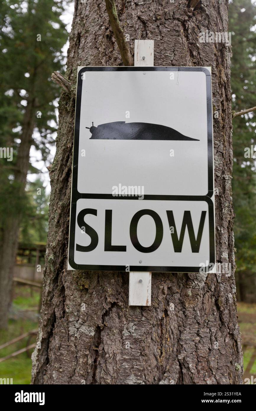 Caution snail crossing sign Stock Photo - Alamy