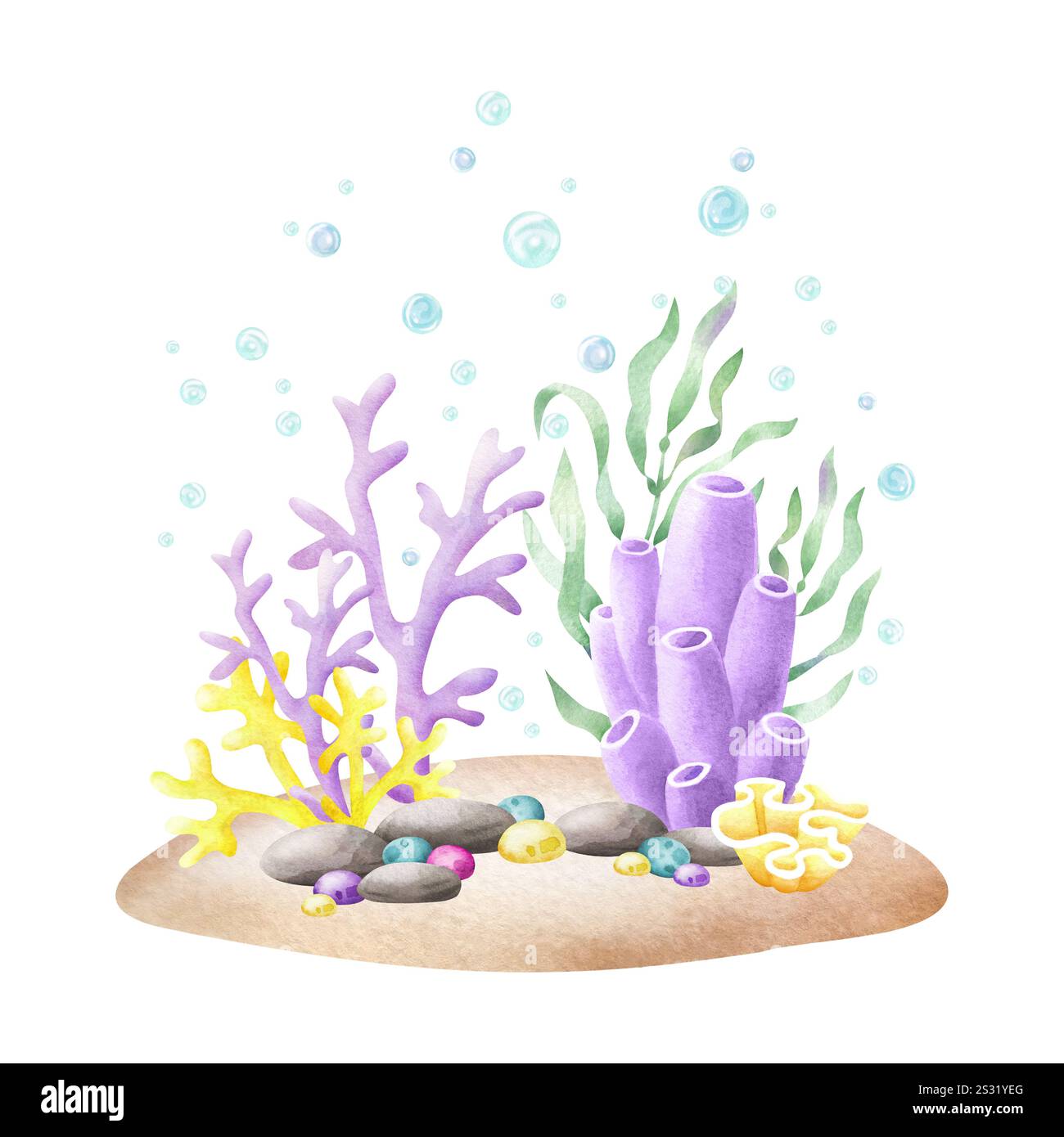Seabed with seaweed, coral, pebbles, stones, bubbles watercolor ...