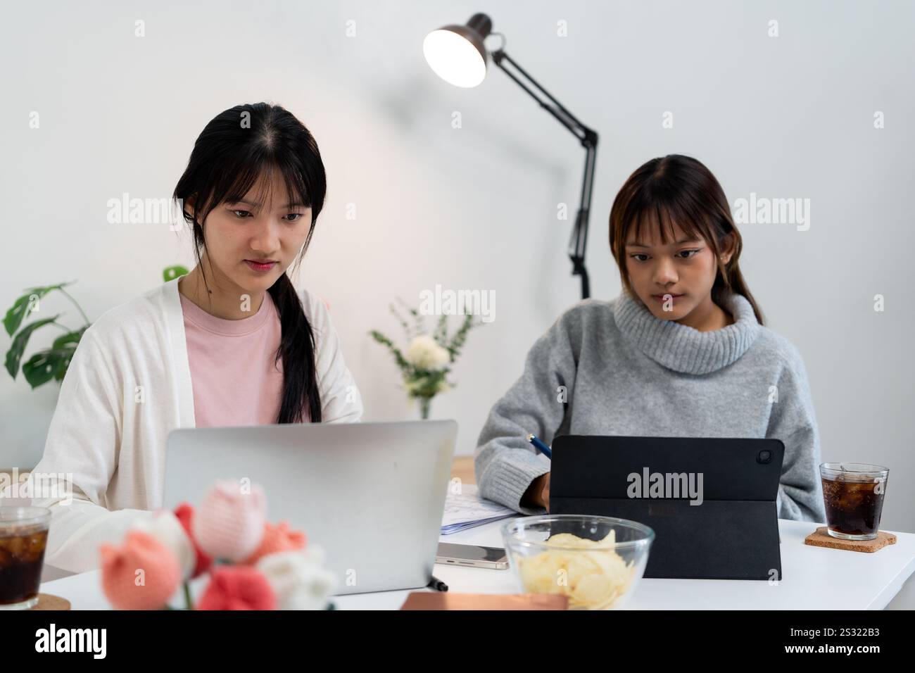 Female higher education student using laptop and studying book in home ...
