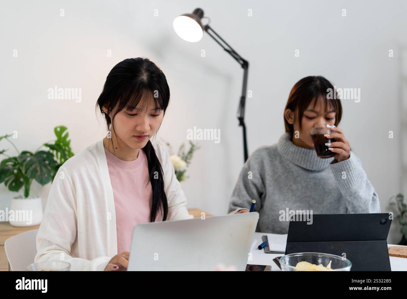 Female higher education student using laptop and studying book in home ...