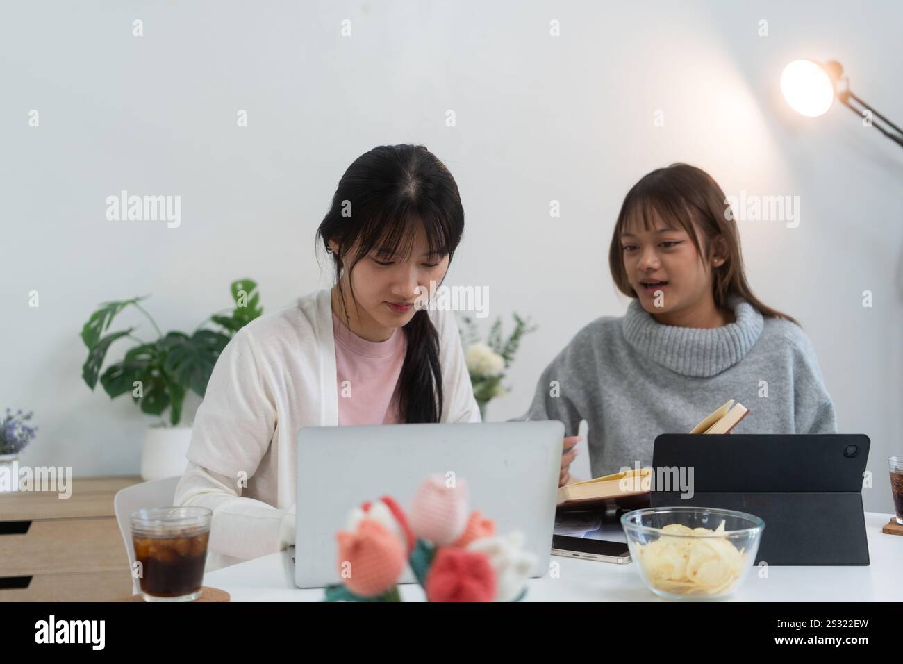 Female higher education student using laptop and studying book in home ...