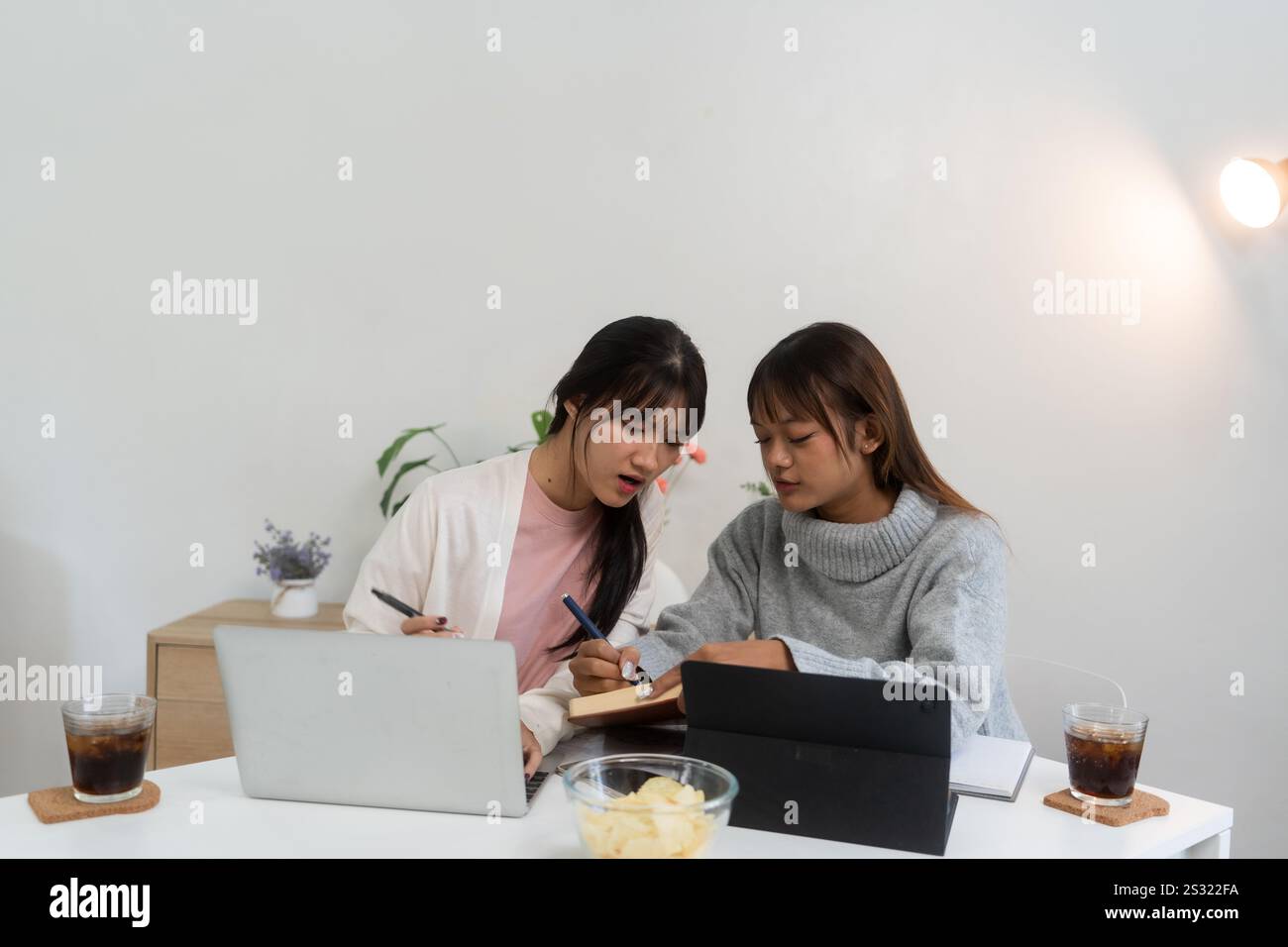 Female higher education student using laptop and studying book in home ...